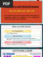 What Is ESS and MSS?: Explain Briefly The Process/functionality and The Distinction Between ESS ...
