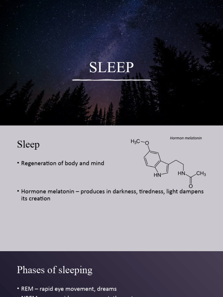 Aj - Prezentace - Sleep | PDF