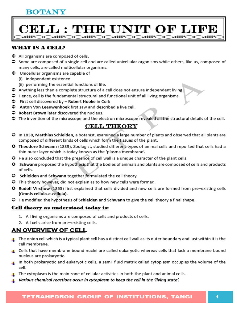 The Cell | PDF | Endoplasmic Reticulum | Cell Membrane