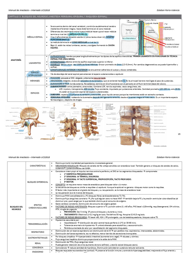 Peridural - Epidural y Raquidea-Espi Nal | PDF | Médula espinal ...