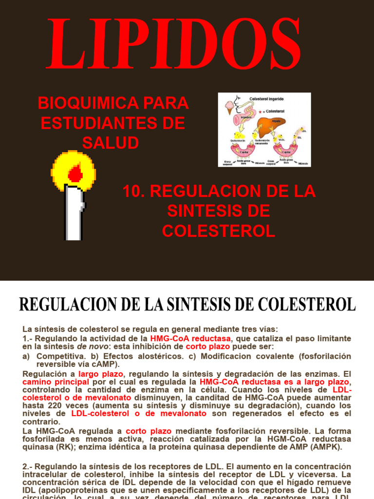 Regulación de la Síntesis de Colesterol | PDF | Colesterol ...