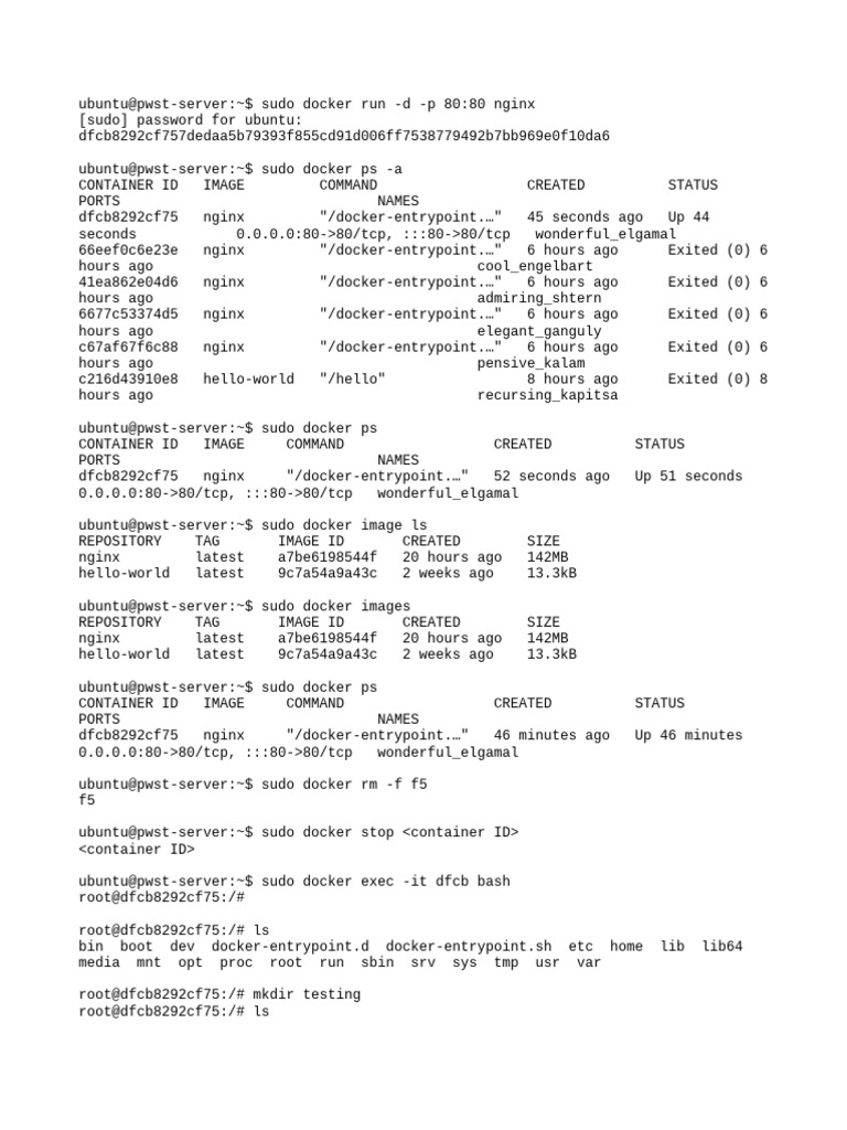 Docker Basics | PDF | Computing | Free Content