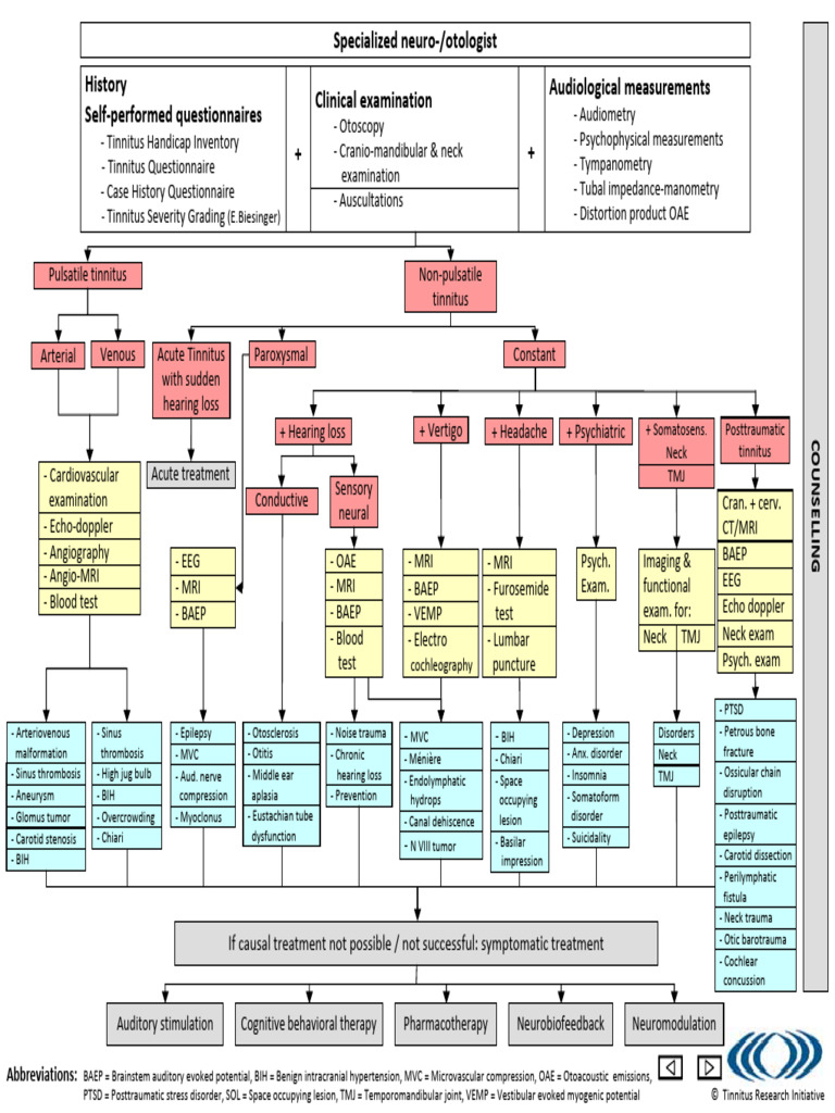 TRI Tinnitus Flowchart | PDF | Tinnitus | Human Diseases And Disorders