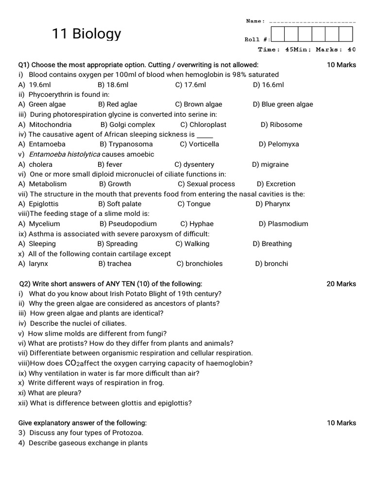 11 Biology - Test CH 7 L, 13 | PDF