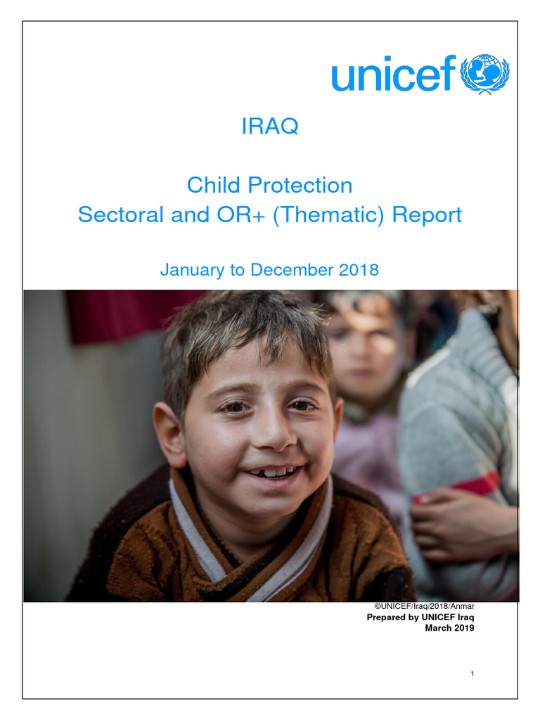 Iraq TP5 2018 | PDF | Internally Displaced Person | Violence