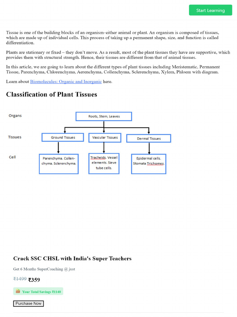 Types of Plant Tissue - Type, Definition, Classification, Function | PDF
