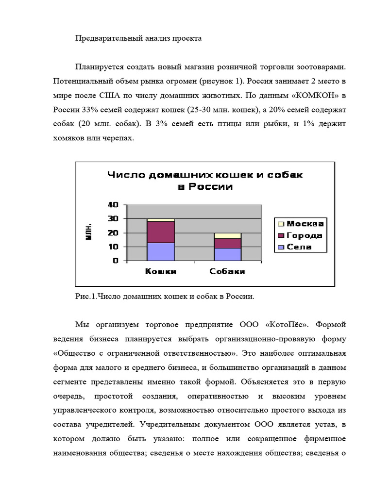 Biznes Plan Zoomagazina | PDF