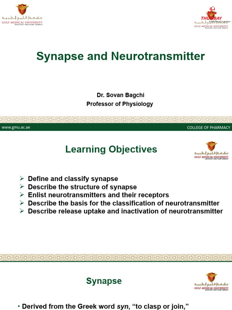 L 42 Synapse and Neurotransmitter | PDF