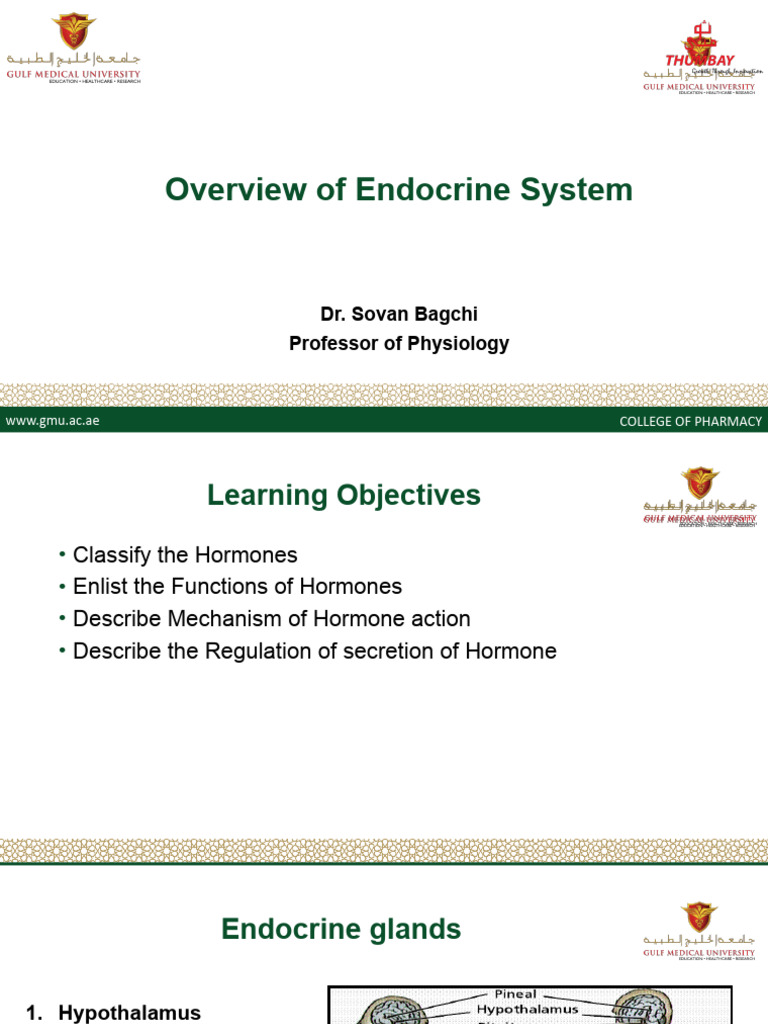Overview of Endocrine System | PDF | Hormone | Endocrine System