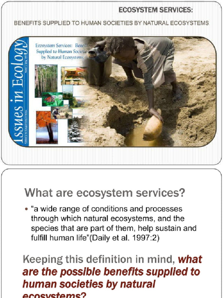 Ecosystem Services | PDF