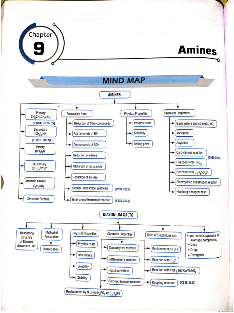 Amines CBSE PYQ'S | PDF