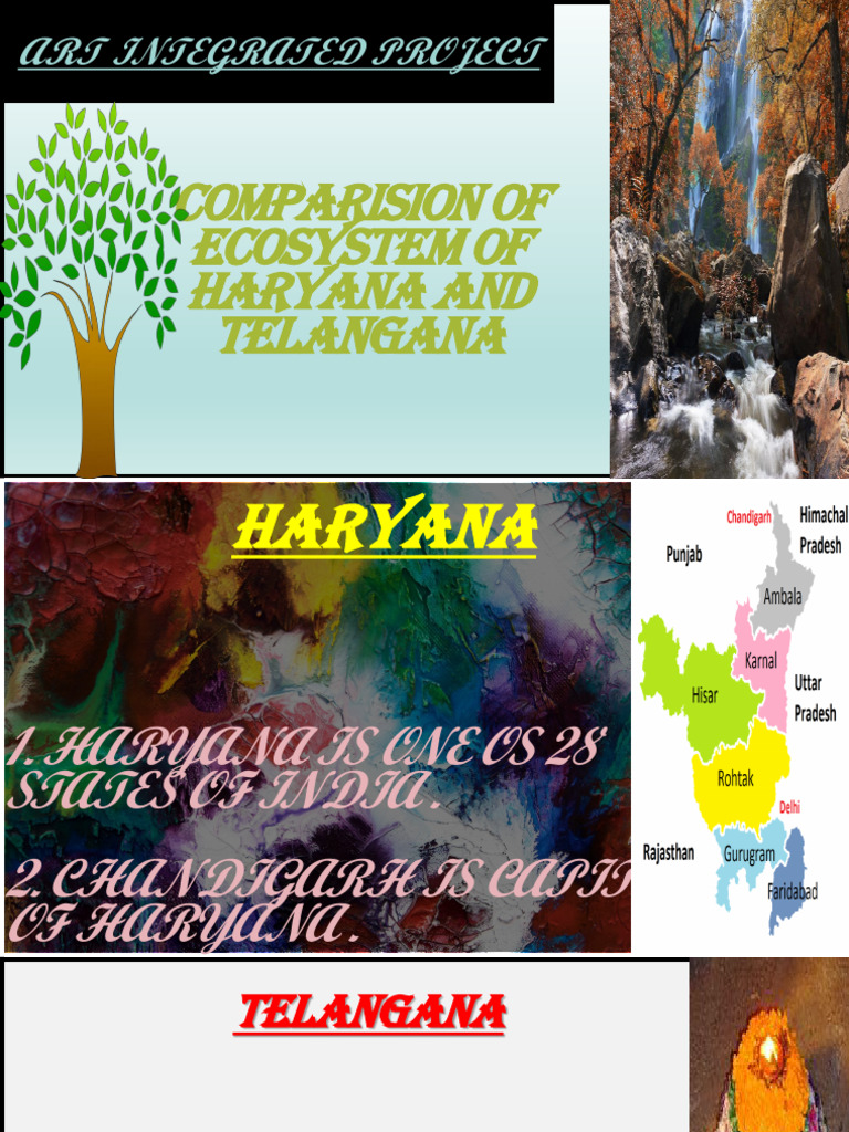 Science Project (Autosaved) | PDF | Ecosystem | Forests