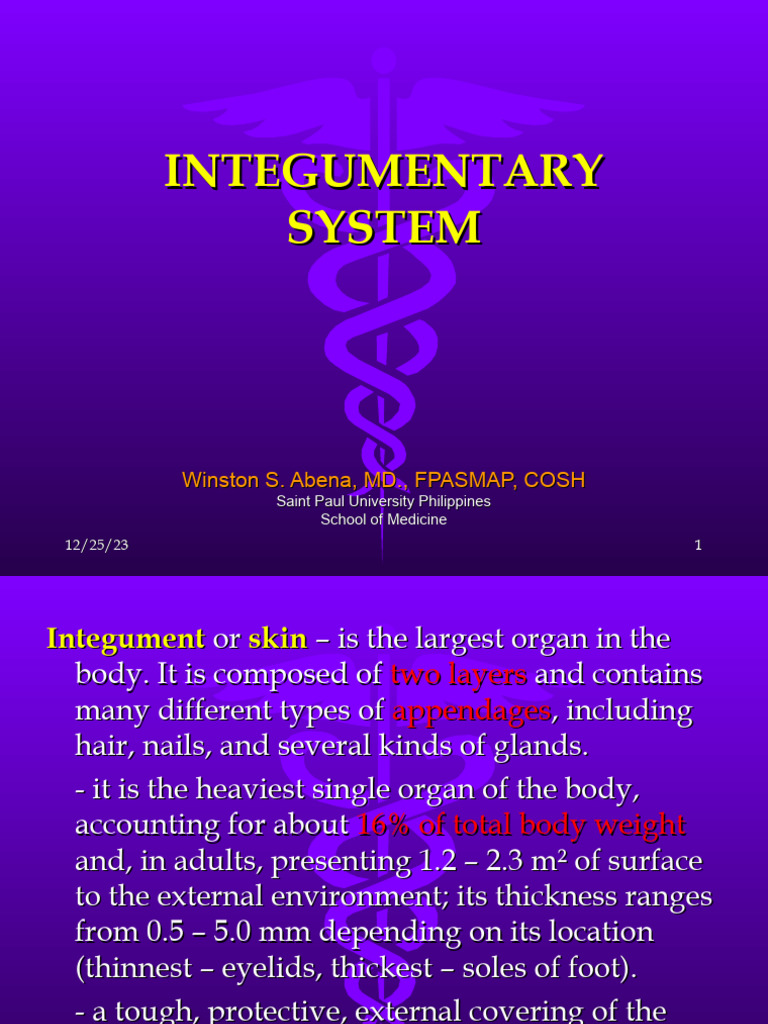 4 Integumentary System Pdf