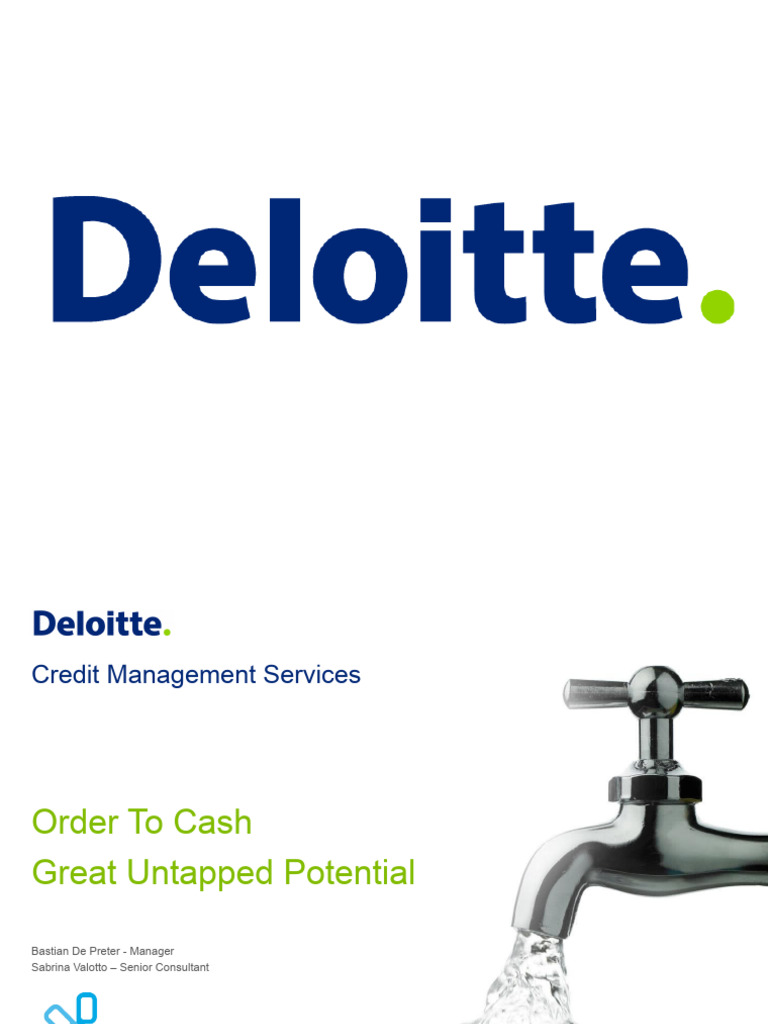 Deloitte Credit Management Services | PDF