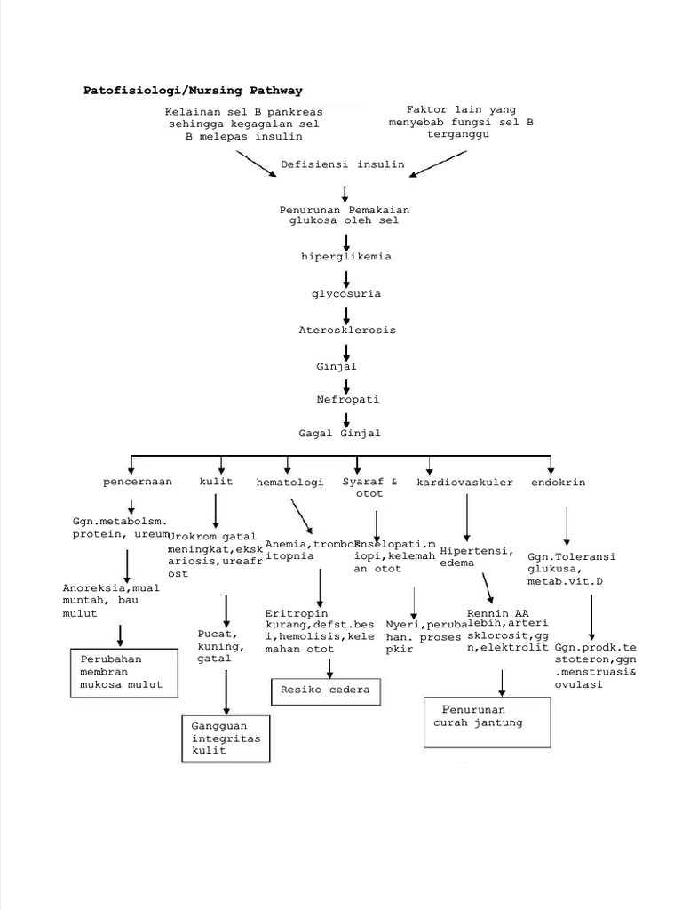 PDF Nursing Pathway CKD Cause Diabetes Melitus - Compress | PDF