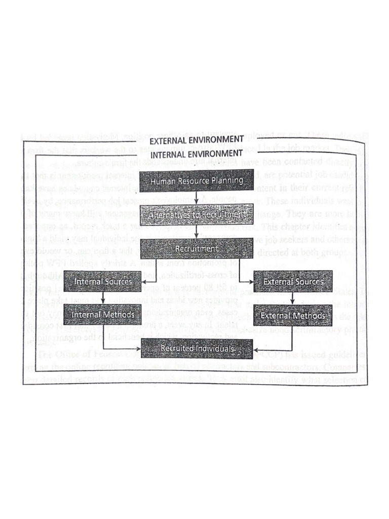 External Environment | PDF