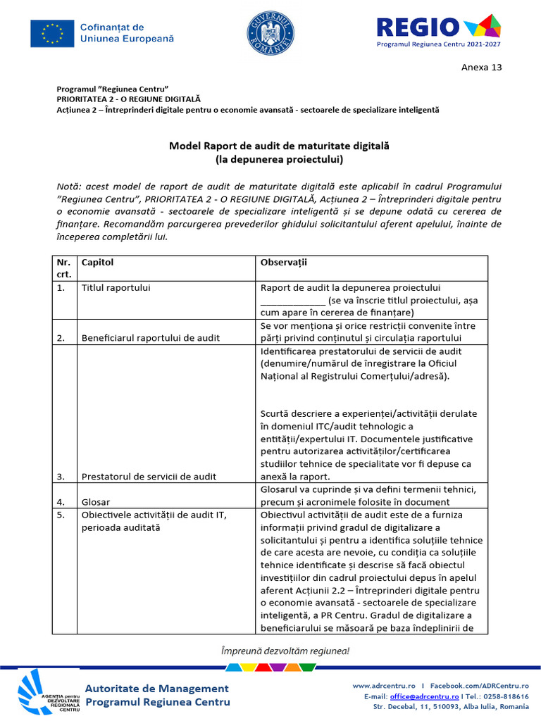 Anexa 13 - Model Raport de Audit IT | PDF