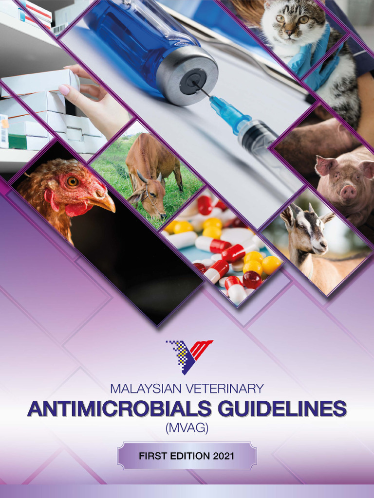Antimicrobial Guideline - DVS | PDF