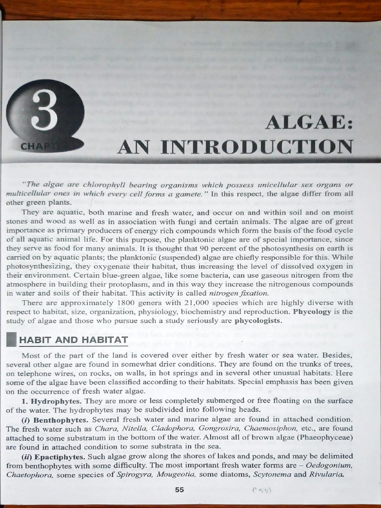 Botany Algae Pdf