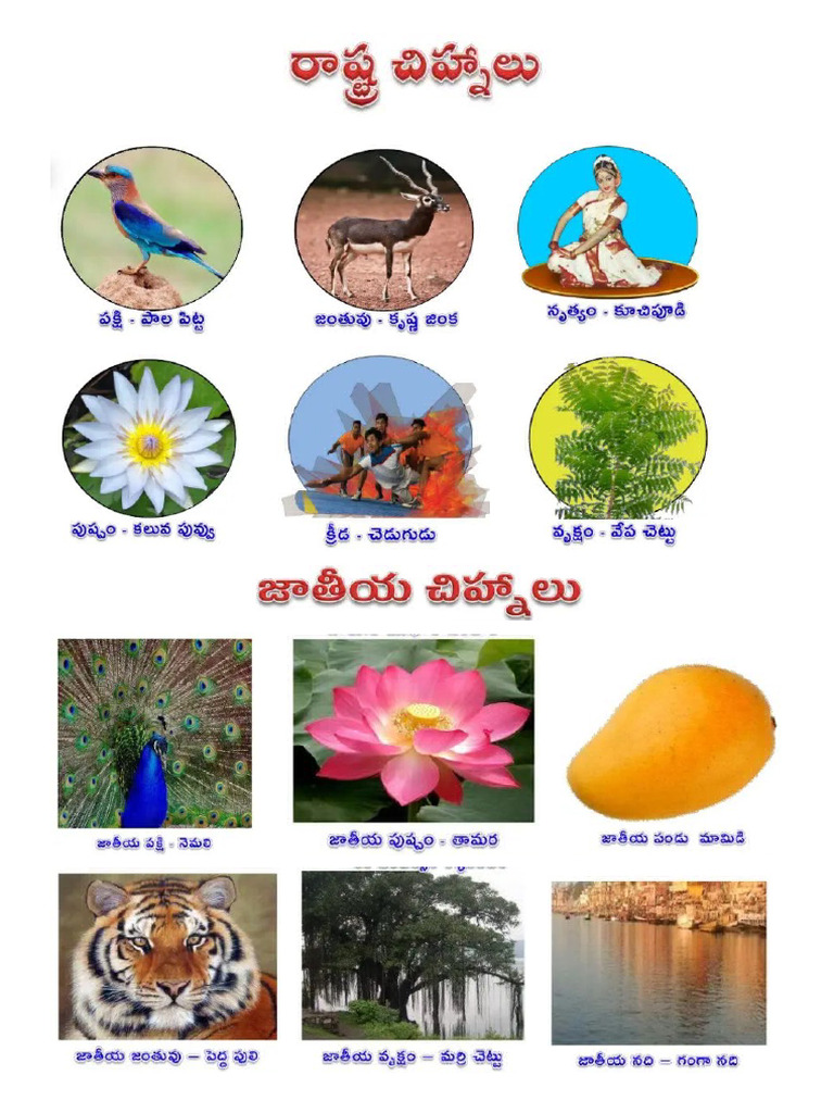 National N State Symbols | PDF