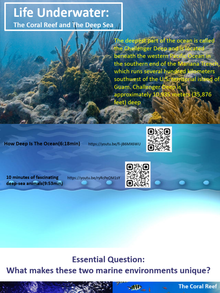 How Deep Is The Ocean | PDF | Coral Reef | Deep Sea