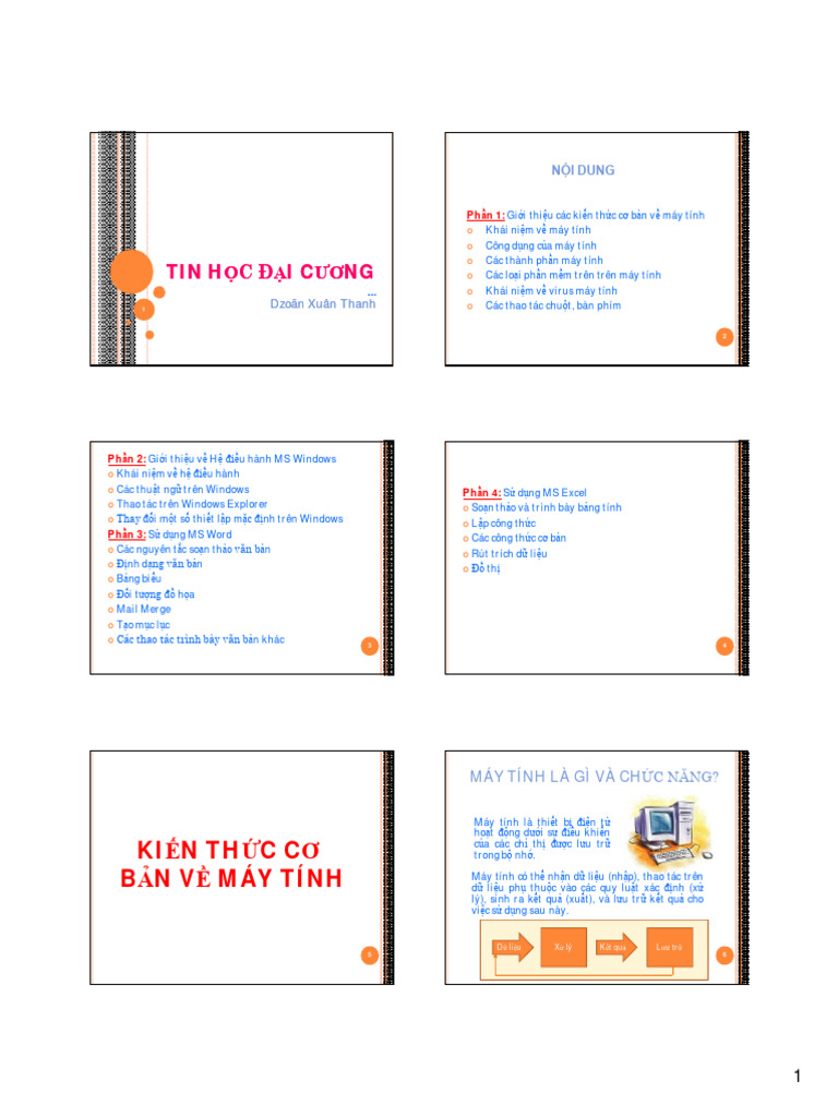 THDC-Doan Xuan Thanh | PDF