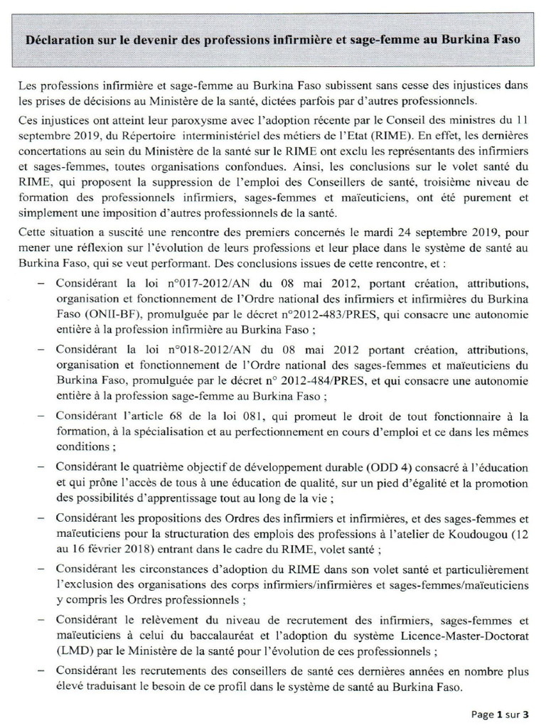 Declaration Profession Infirmiere | PDF