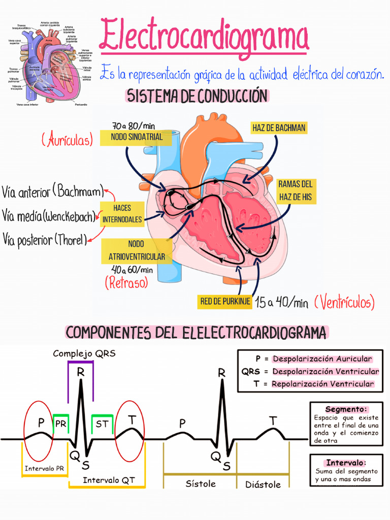 Interpretación de EKG - 231027 - 204759 | PDF