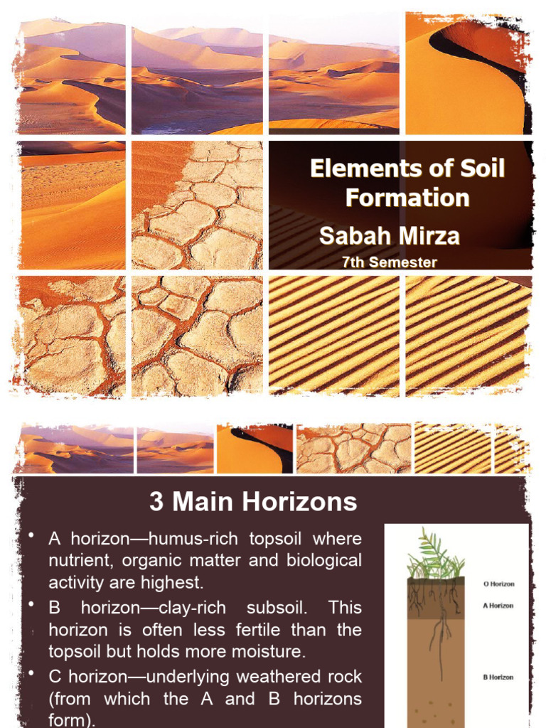 Elements of Soil Formation | PDF | Soil | Weathering