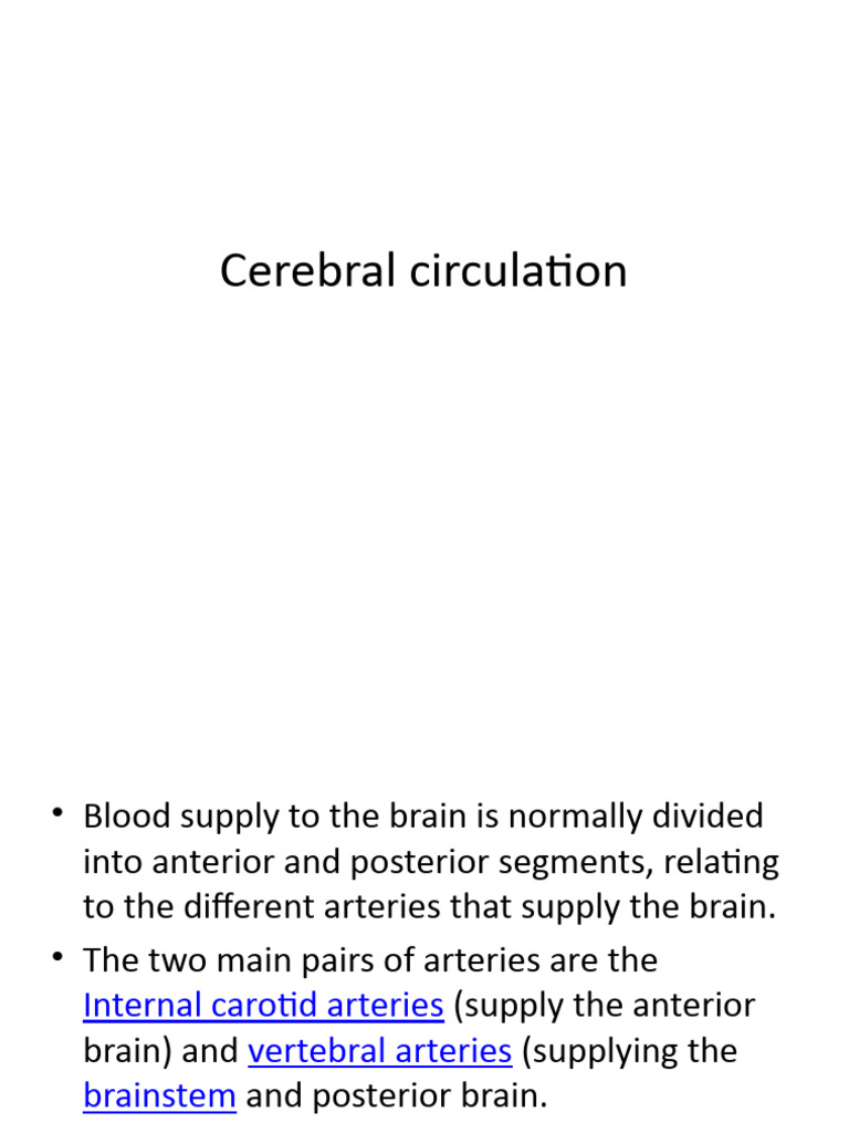 Cerebral Circulation | PDF