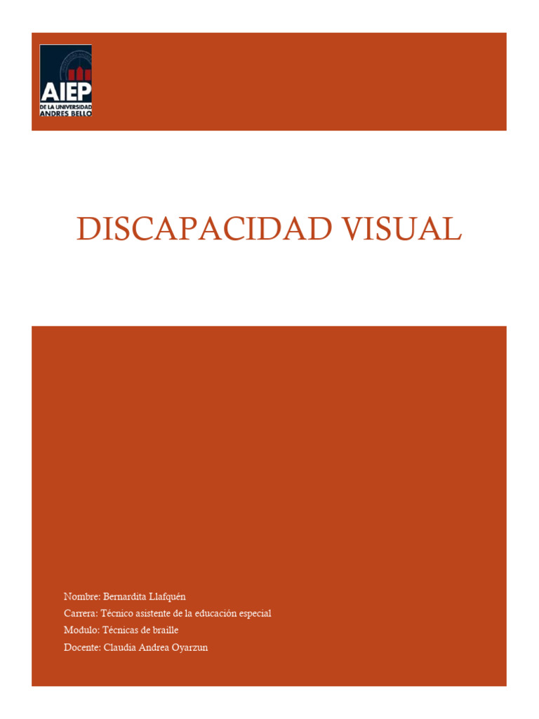 Discapacidad Visual | PDF