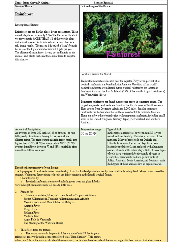 Rainforest Biome Overview and Features | PDF