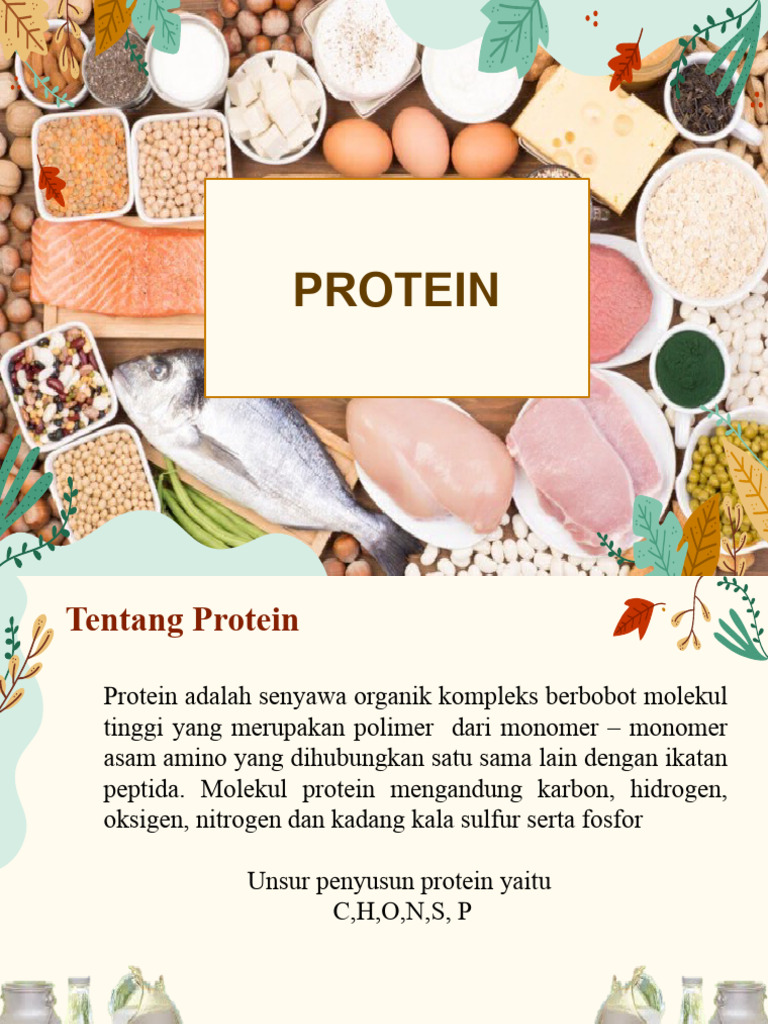 PPT Protein Biokimia All | PDF