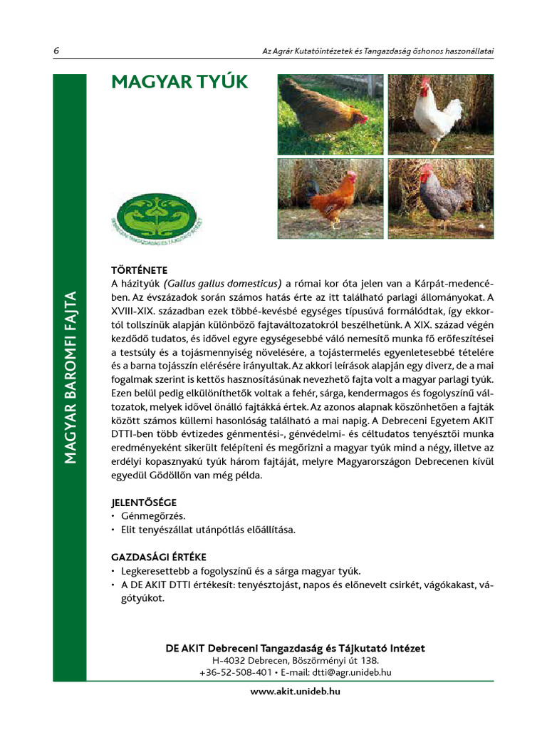 Fogolyszínű Magyar Tyúk | PDF