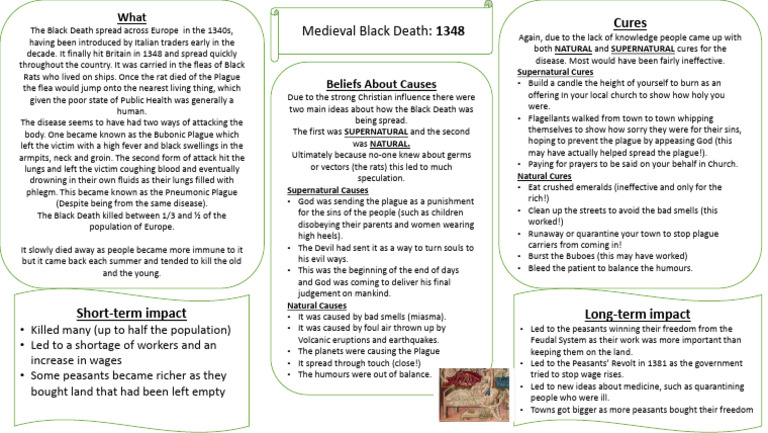 Medieval Black Death 1348 | PDF | Black Death | Medicine