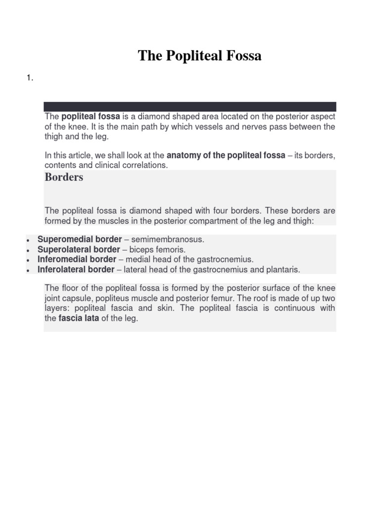 The Popliteal Fossa | PDF | Human Leg | Knee