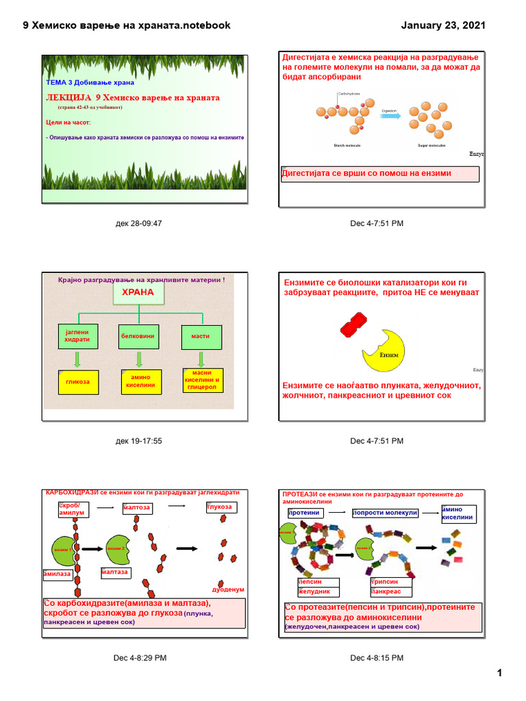 Balls | PDF