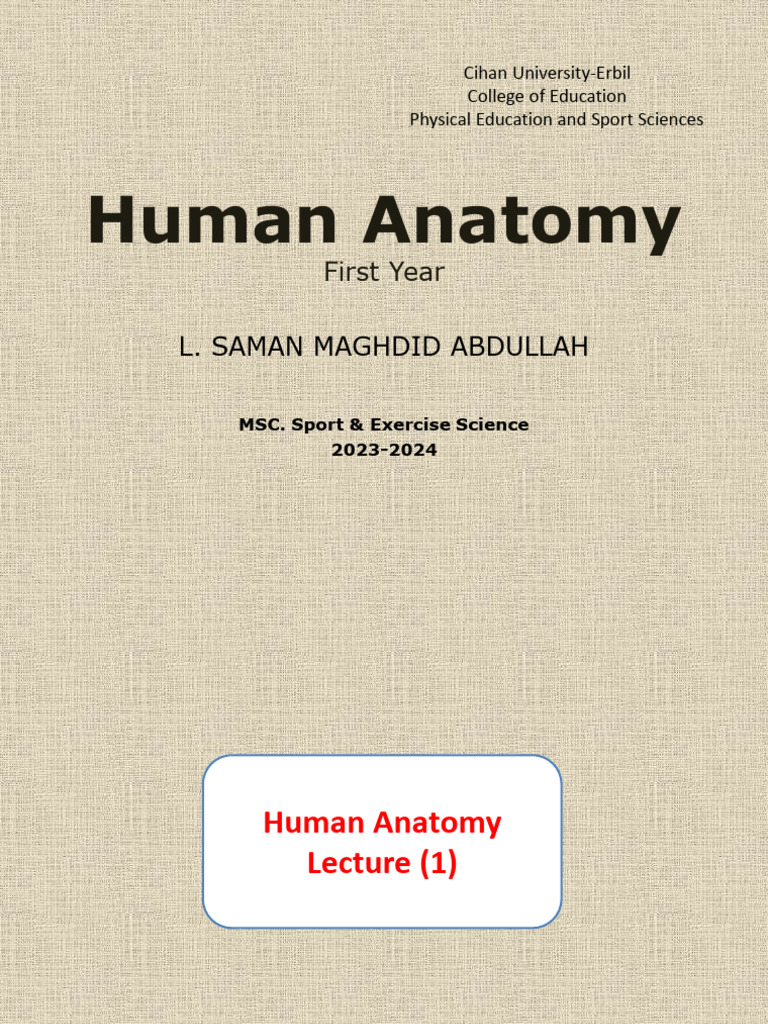 Human Anatomy 1 | PDF