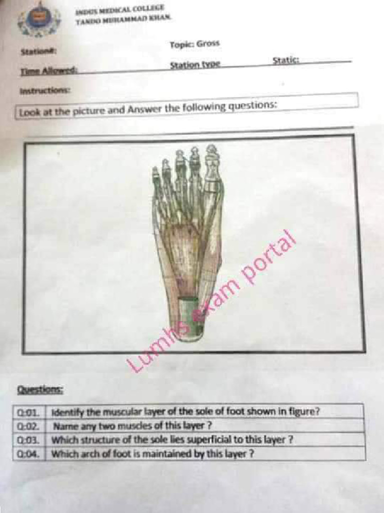 Anatomy Ospe-1-1 | PDF