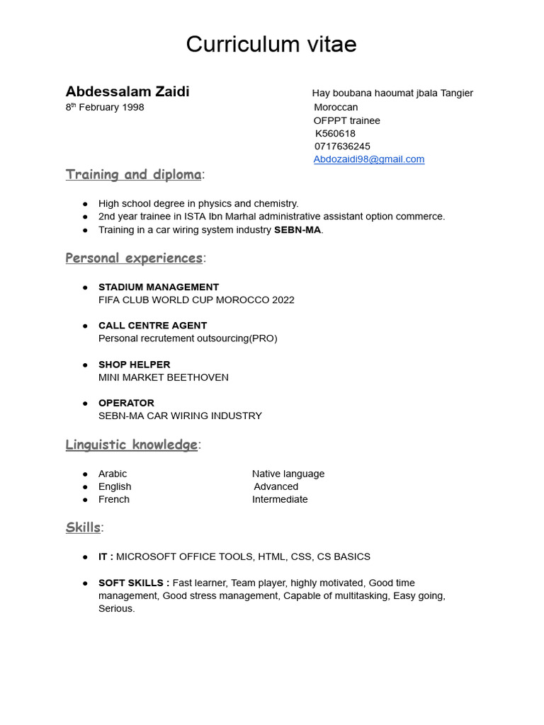 Curriculum Vitae English | PDF