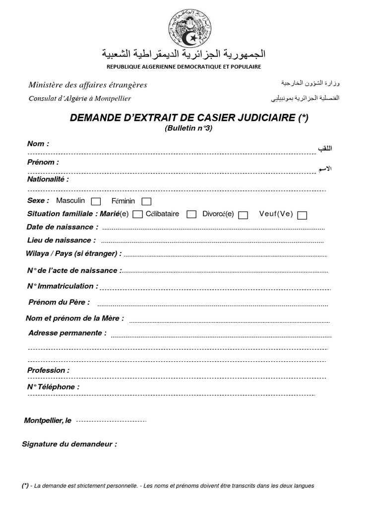 08 Formulaire Demande Casier Judiciaire | PDF