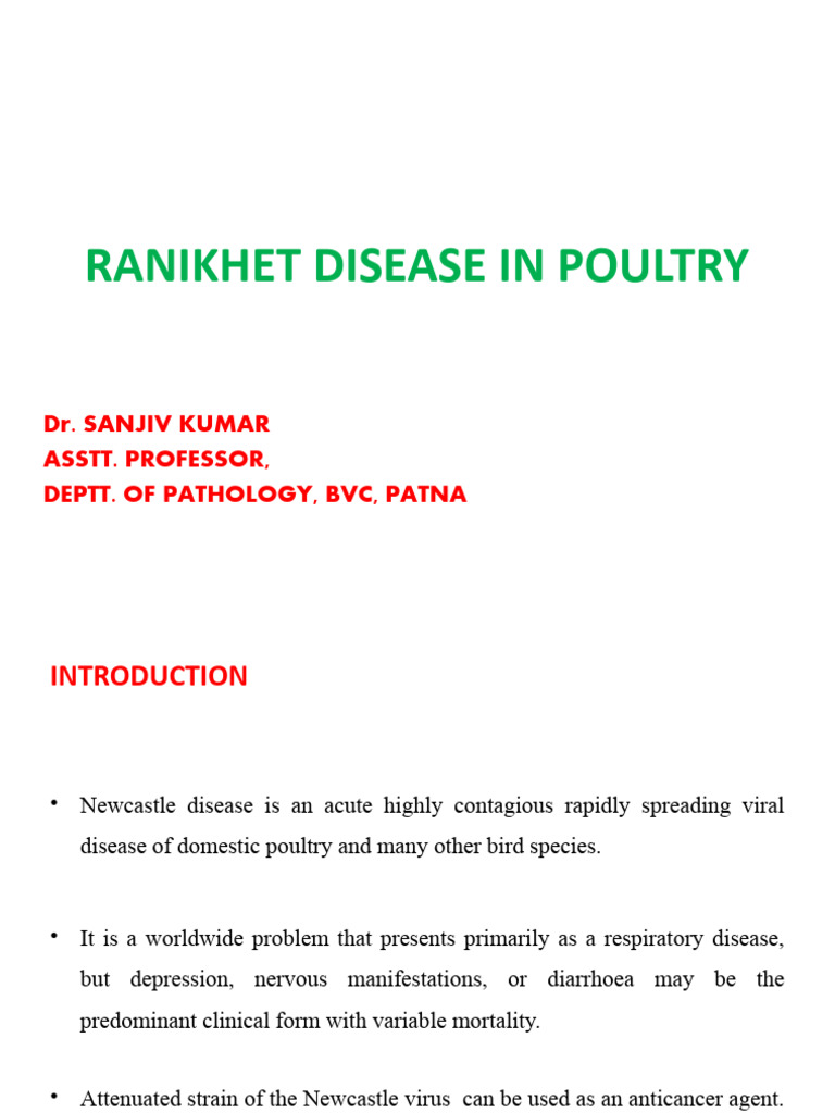 Ranikhet Disease of Poultry | PDF | Virus | Infection