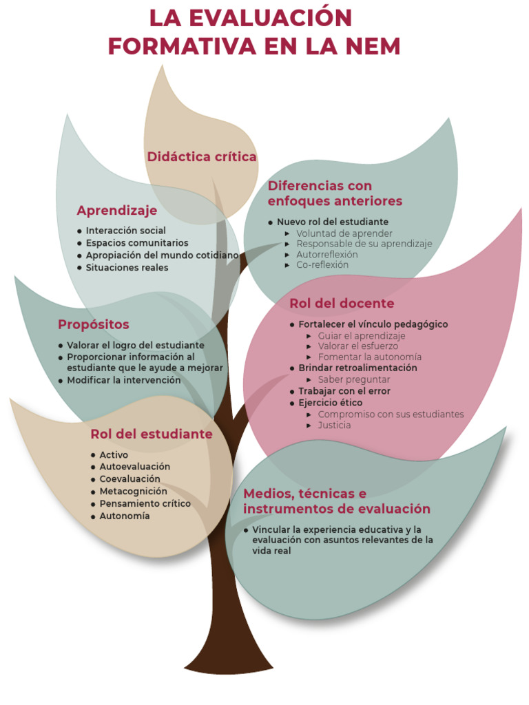 La Evaluacion Formativa en La NEM | PDF