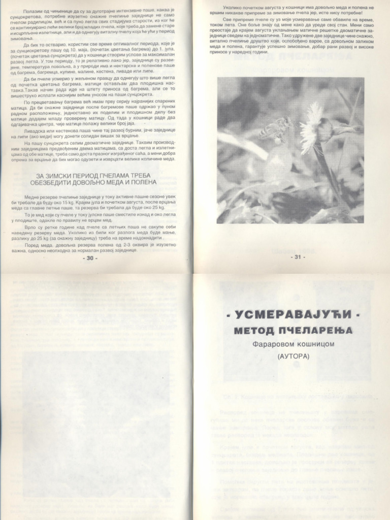 Usmeravanje Rada Pcela Milan Matic 1996 17 End | PDF