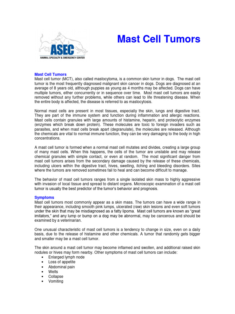 Mast Cell Tumors ASEC | PDF | Chemotherapy | Cancer
