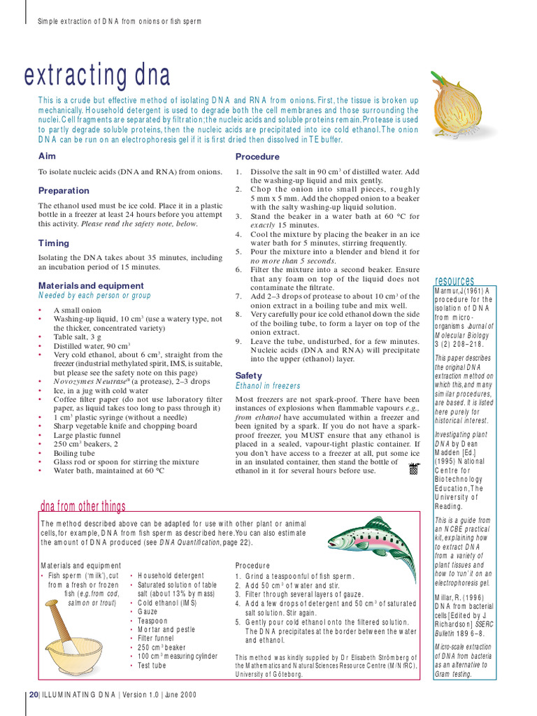 Extracting DNA From Plant Tissue | PDF | Cell (Biology) | Dna
