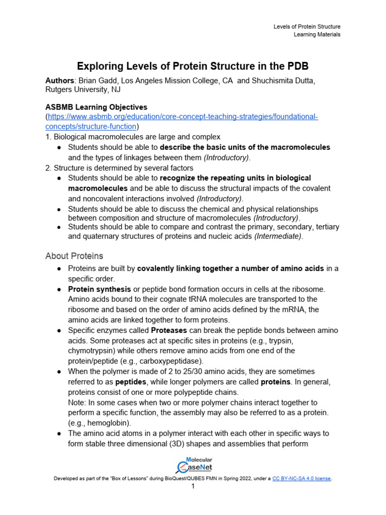 Exploring Levels of Protein Structure in PDB 091723 | PDF | Proteins | Protein Structure