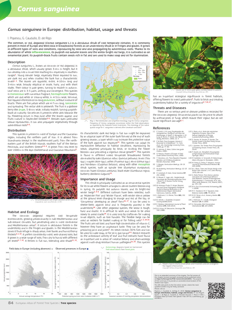 Cornus Sanguinea | PDF | Plants | Branches Of Botany