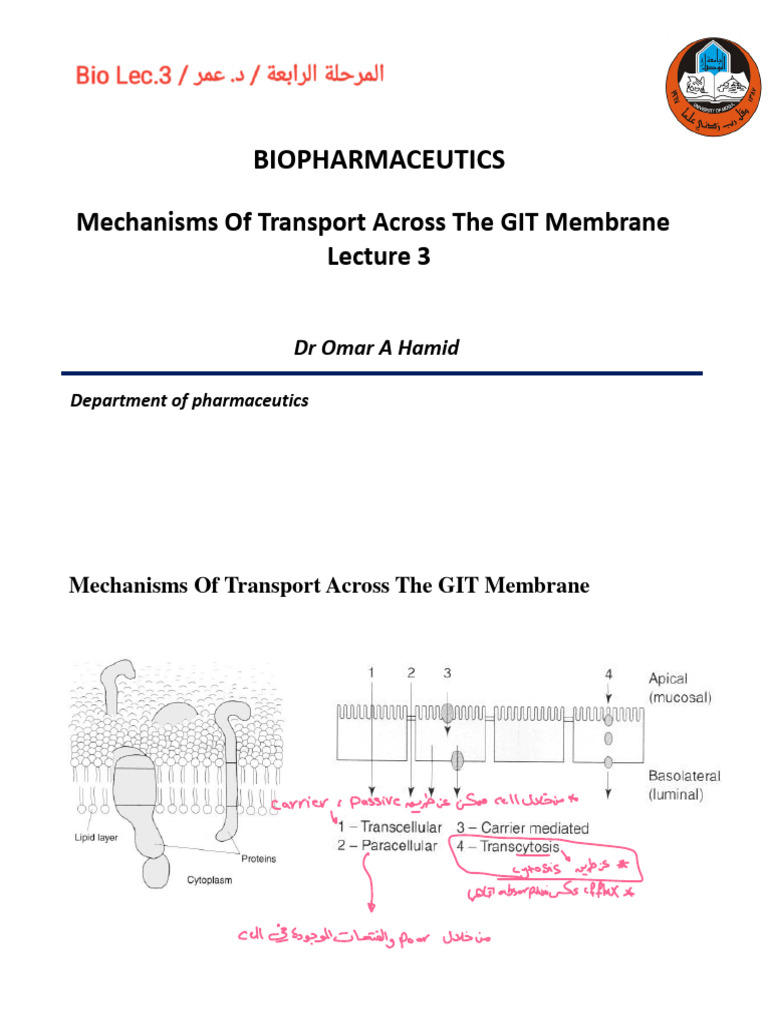 Bio Lec.3 | PDF | Cell Membrane | Diffusion