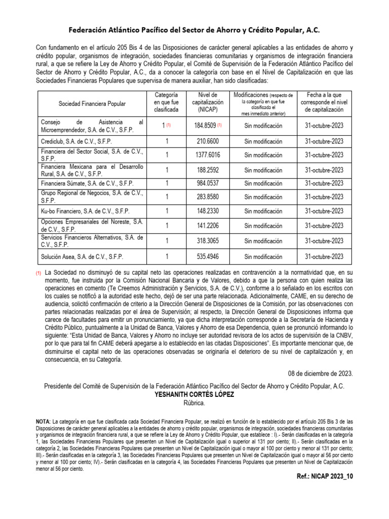 Clasificación NICAP Sociedades Financieras 2023 | PDF | Finanzas y dinero